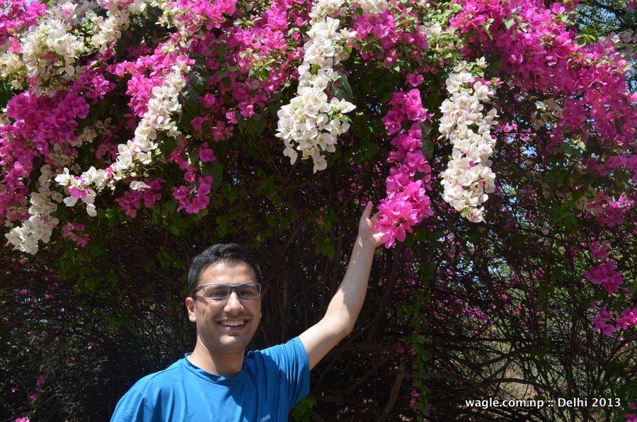 Parthasarathy Rocks (and Flowers of JNU) – Dinesh Wagle on Nepali Society